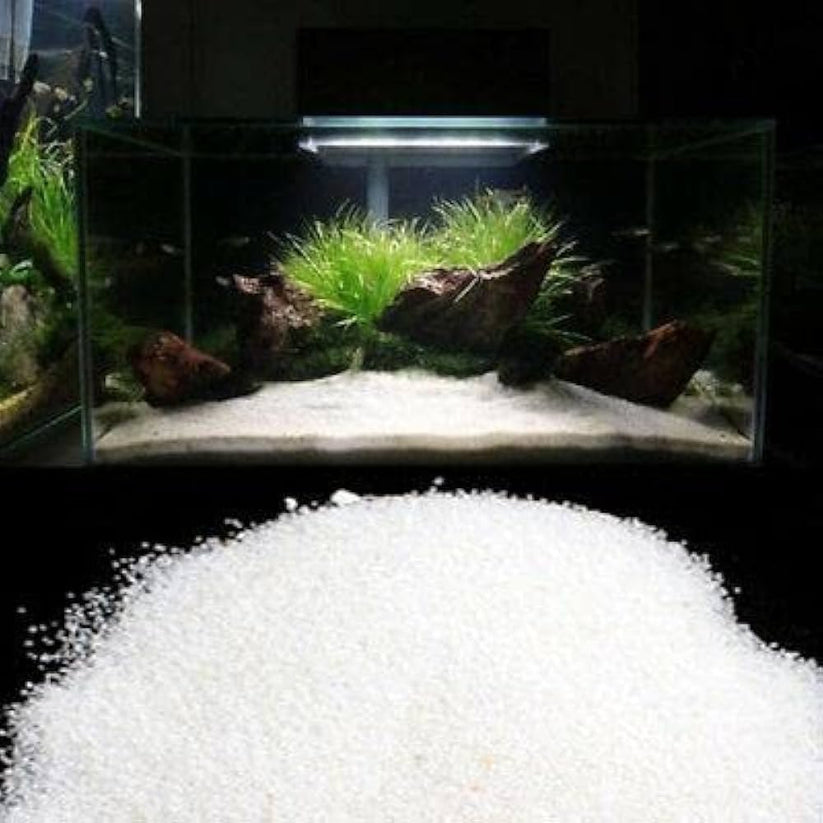 Pure white Sand | 1 Kg – Veda Aquarium