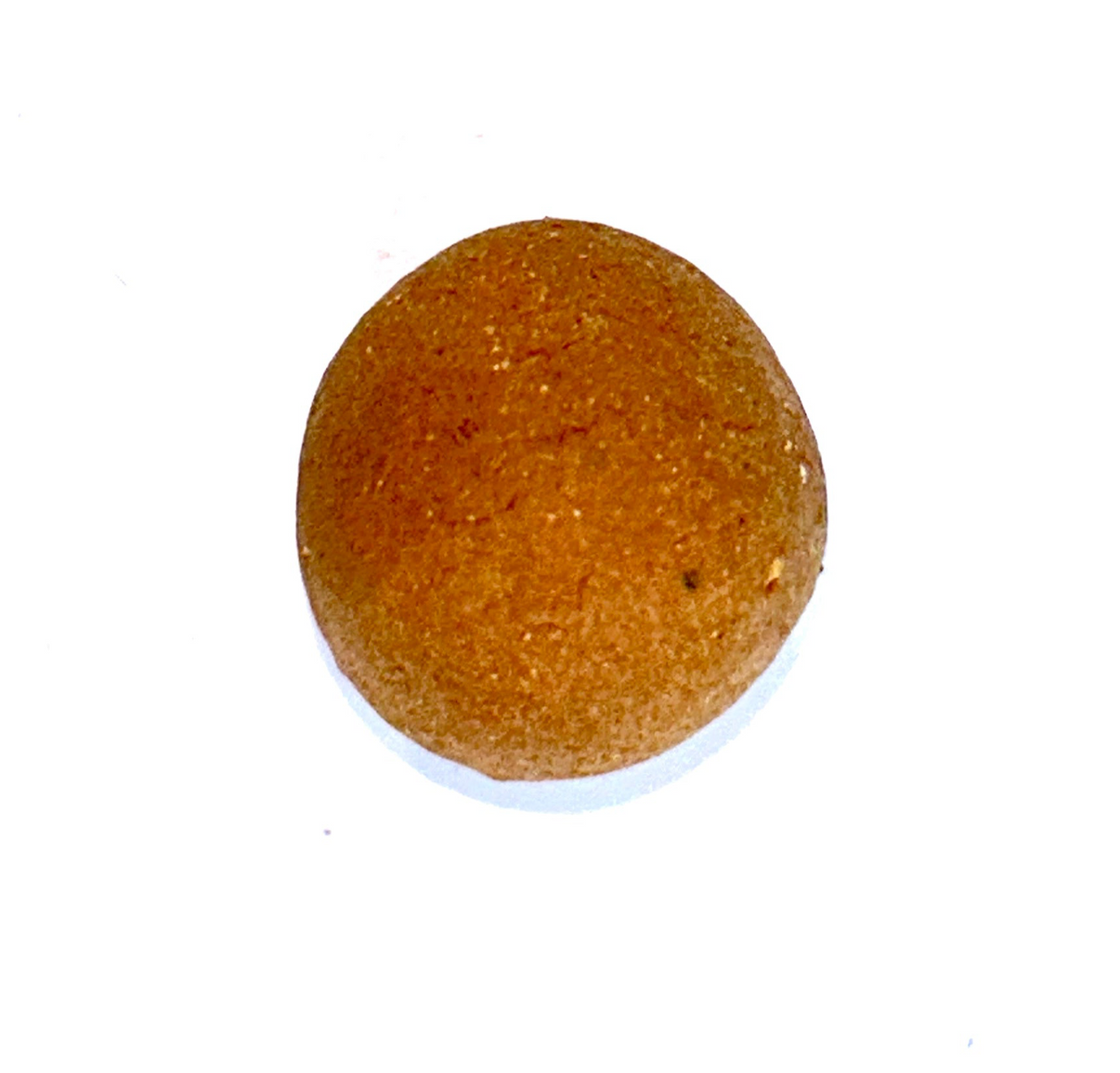 ADA Bacter Ball | Beneficial bacteria ball – Veda Aquarium