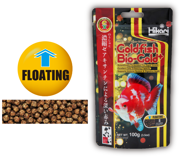 Hikari Goldfish Bio Gold plus | Goldfish feed | 100g | Floating – Veda ...