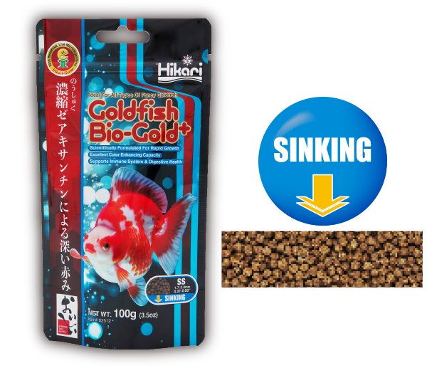 Hikari Goldfish Bio Gold plus | Goldfish feed | 100g | Sinking – Veda ...